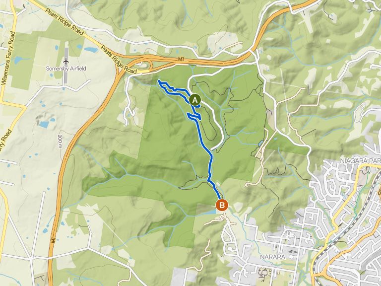 Strickland State Forest - Narara to Niagara Park | Wanderung | Komoot